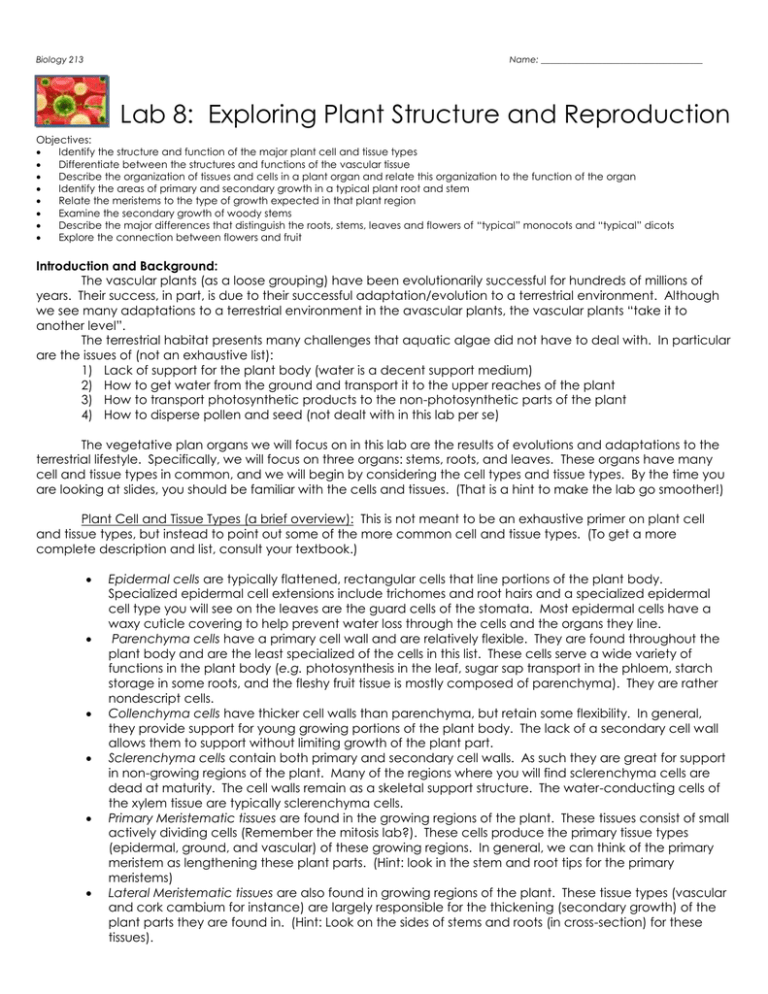Lab 8: Exploring Plant Structure and Reproduction