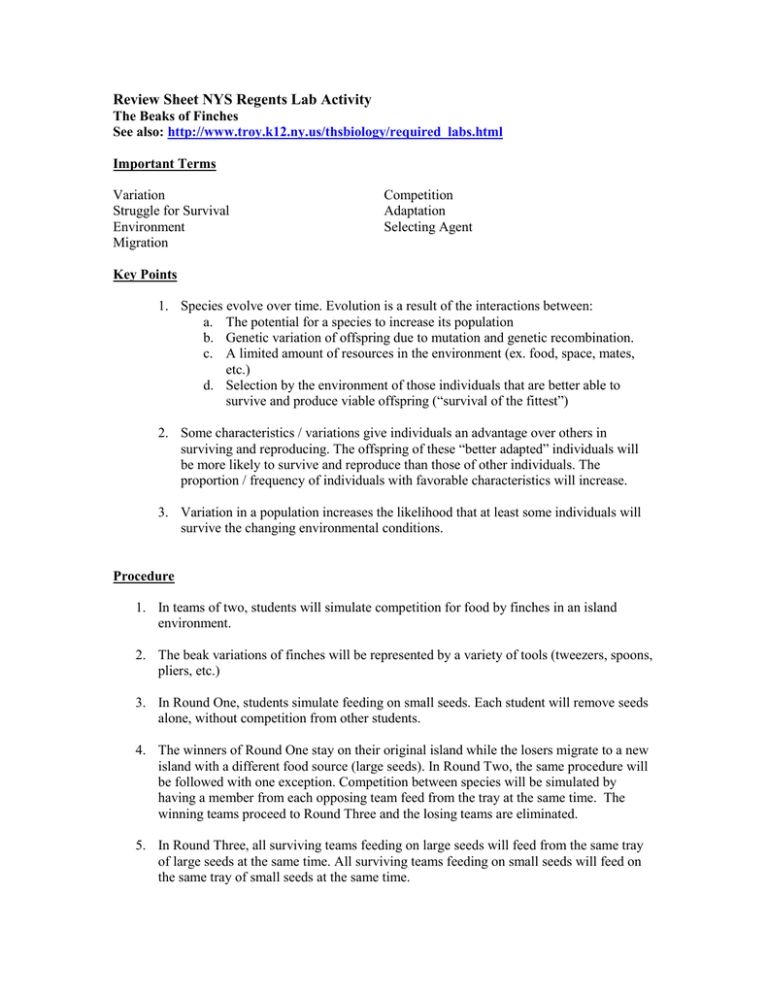 Beaks of Finches Lab Review: Evolution & Adaptation