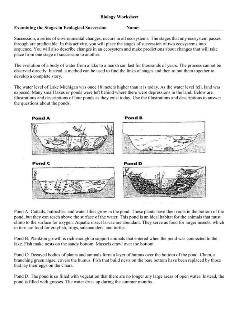 Ecological Succession Worksheet: Pond Ecosystems
