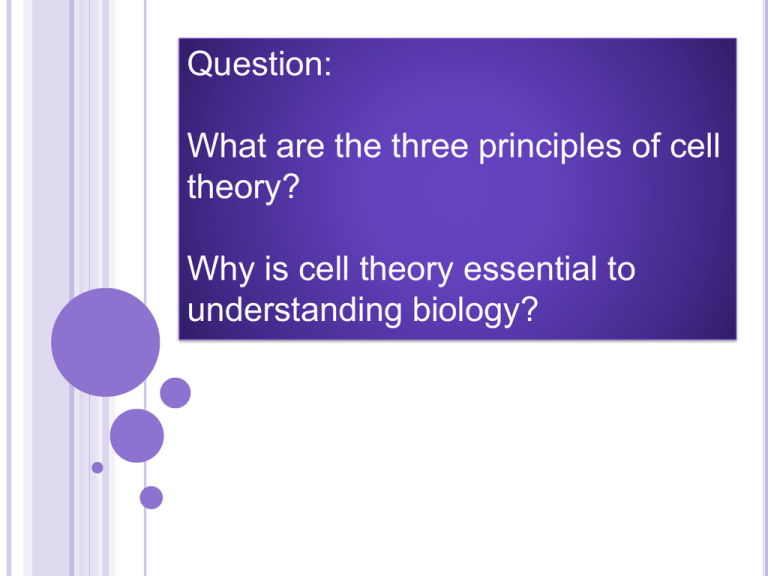 Cell Theory & Structure: Biology Presentation