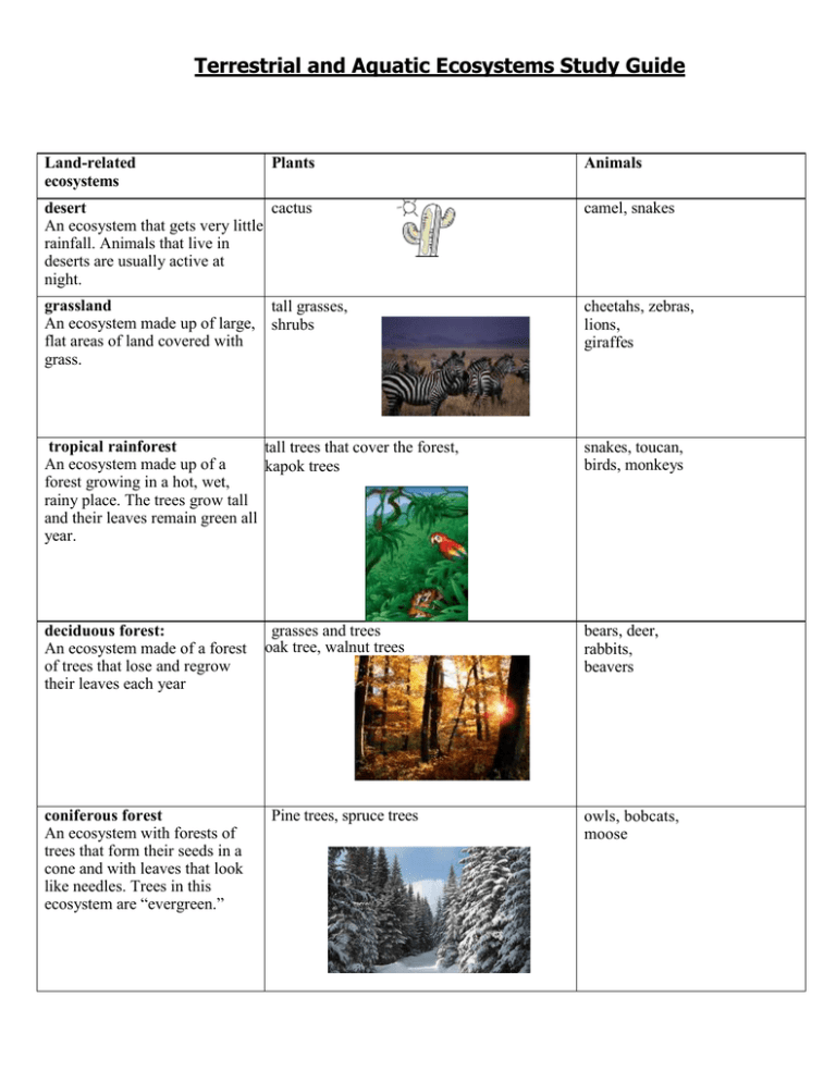 Ecosystems Study Guide: Terrestrial & Aquatic Environments