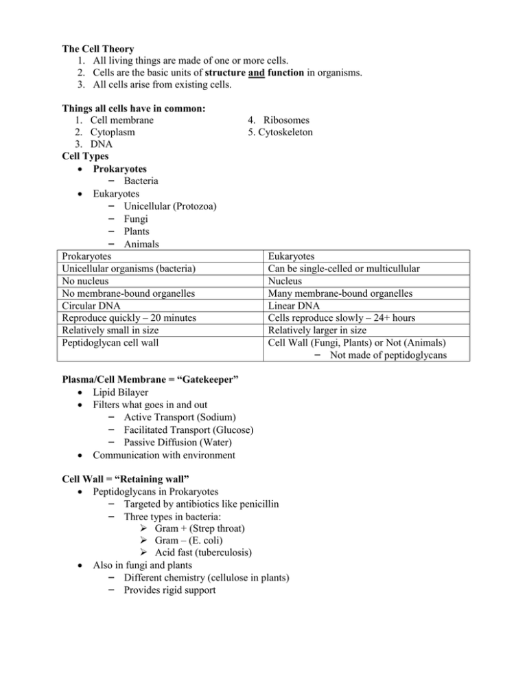The Cell Theory structure and function