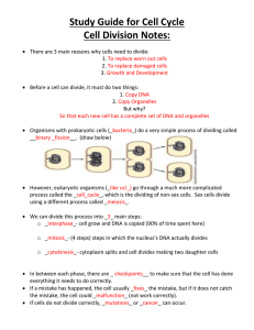 Copy of Cell Division Student Exploration Sheet