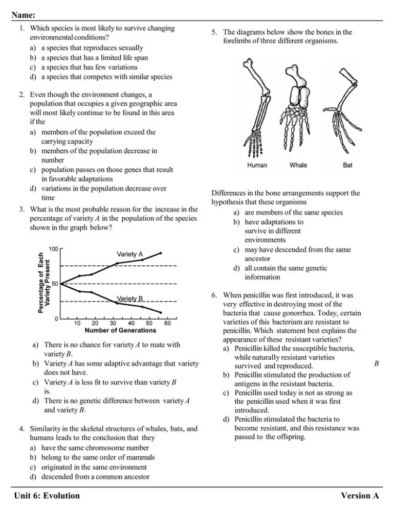 Evolution Worksheet: Natural Selection & Adaptation