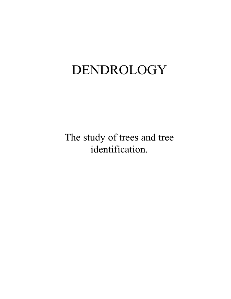 Dendrology: Tree Identification Guide