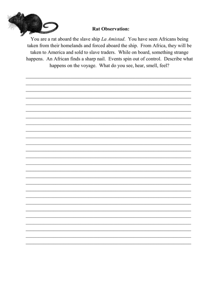 Rat Observation: La Amistad