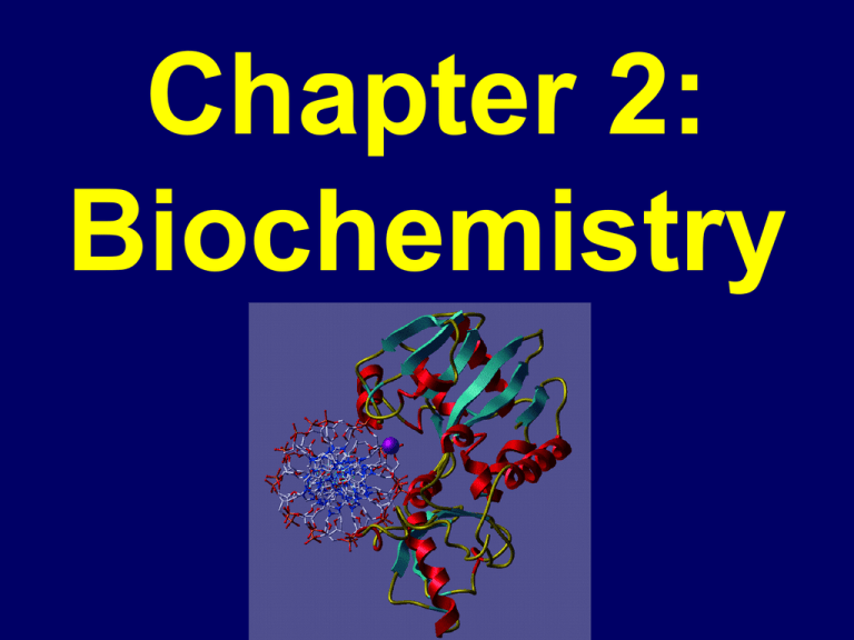 Biochemistry: Elements, Molecules, and Reactions