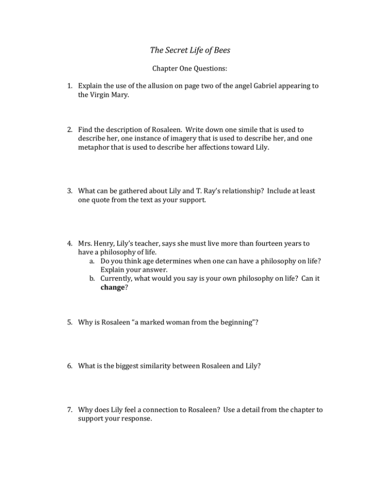The Secret Life of Bees: Chapter 1 Study Questions