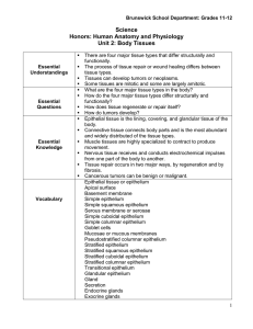 Anatomy and Physiology