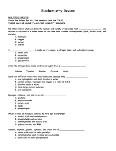 Biochemistry Worksheet