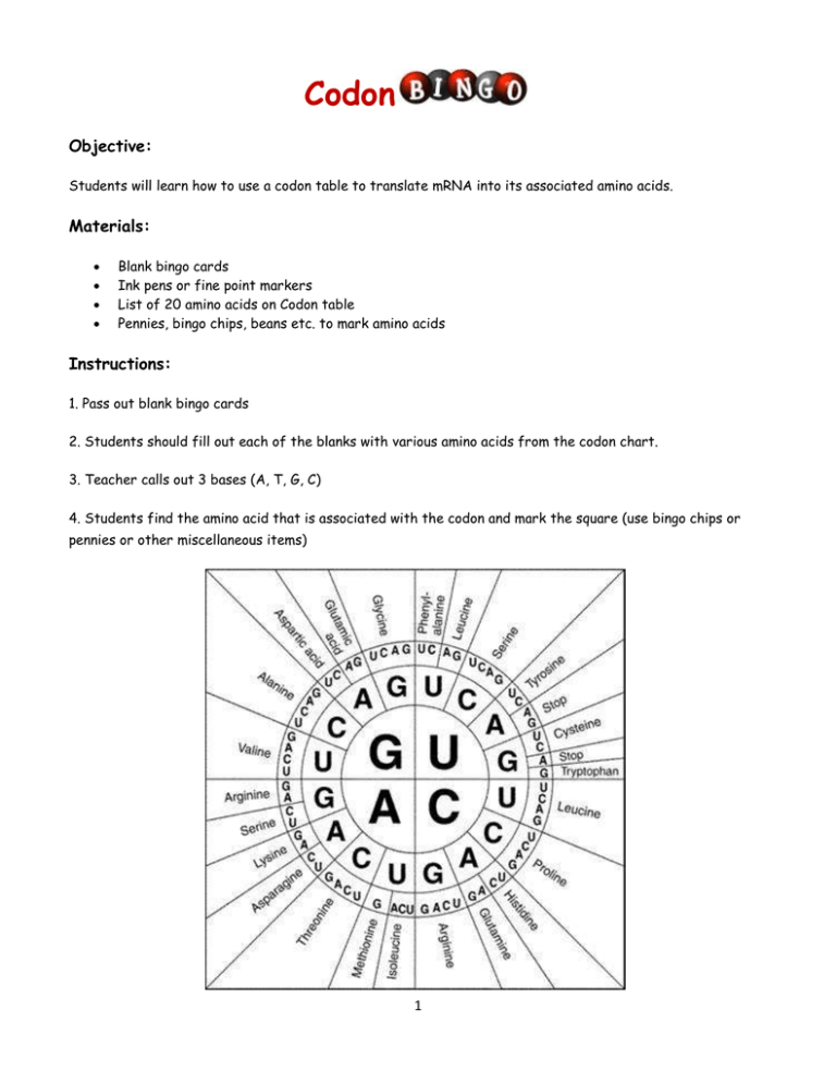 Codon Bingo: mRNA Translation Worksheet
