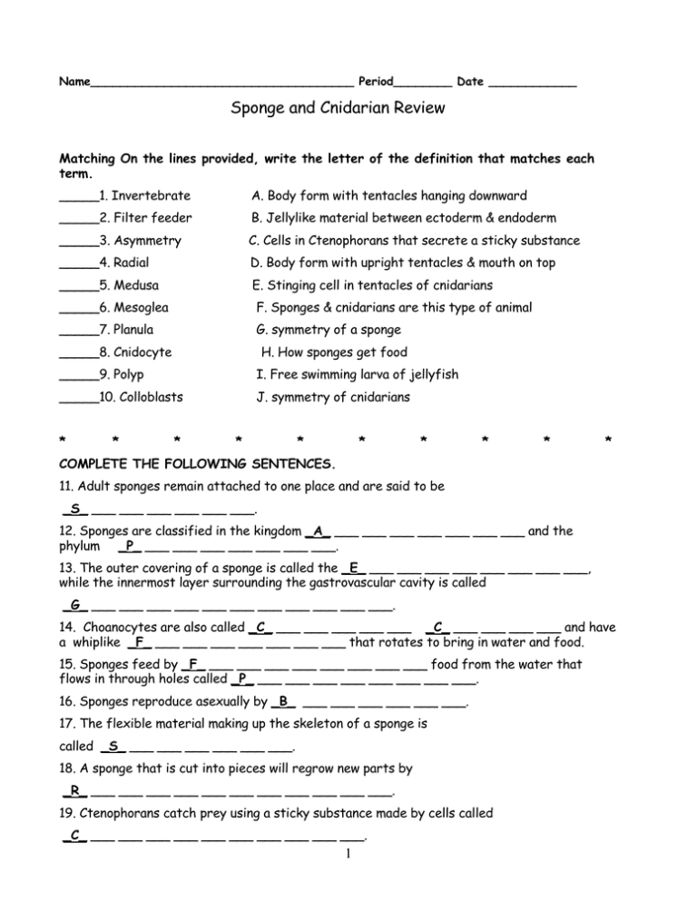 Sponge & Cnidarian Review Worksheet: Biology Zoology