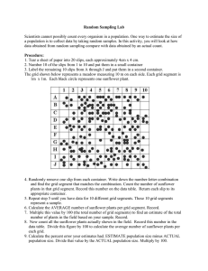 Random Sampling Activity