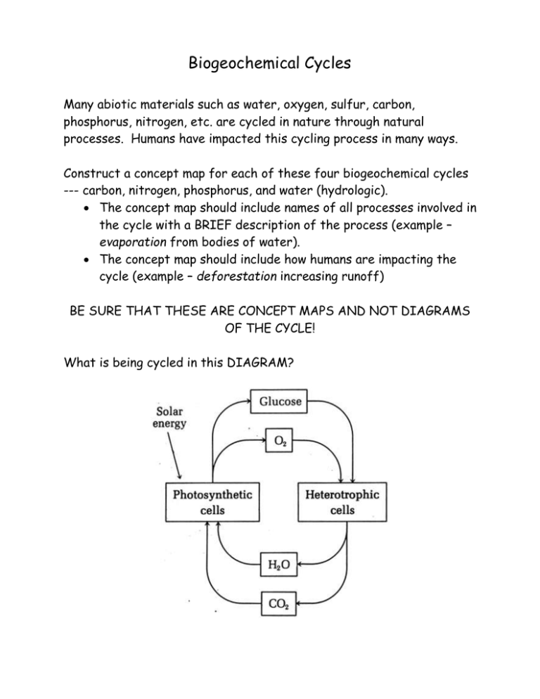Biogeochemical Cycles: Concept Maps & Diagram Analysis