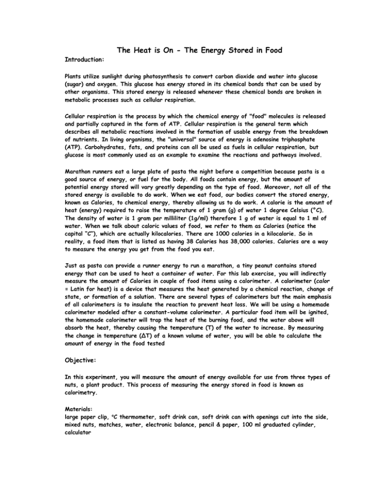 Calorimetry Lab: Energy in Food