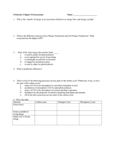 Grade 8 Natural Science: Photosynthesis & Respiration