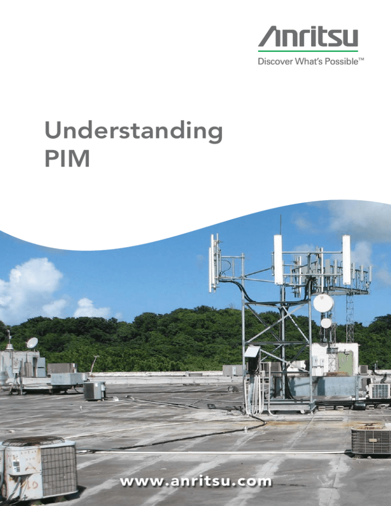 Understanding PIM