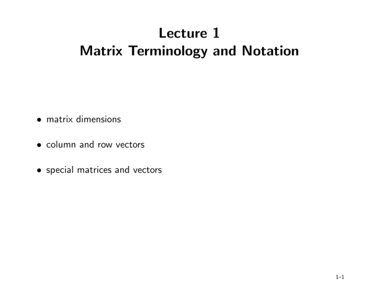 Lecture 1 Matrix Terminology and Notation