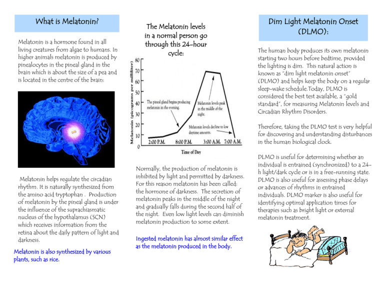 Melatonin & DLMO Test: Information & Referral