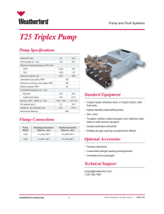 T40 Triplex Pump