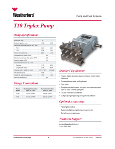 T40 Triplex Pump