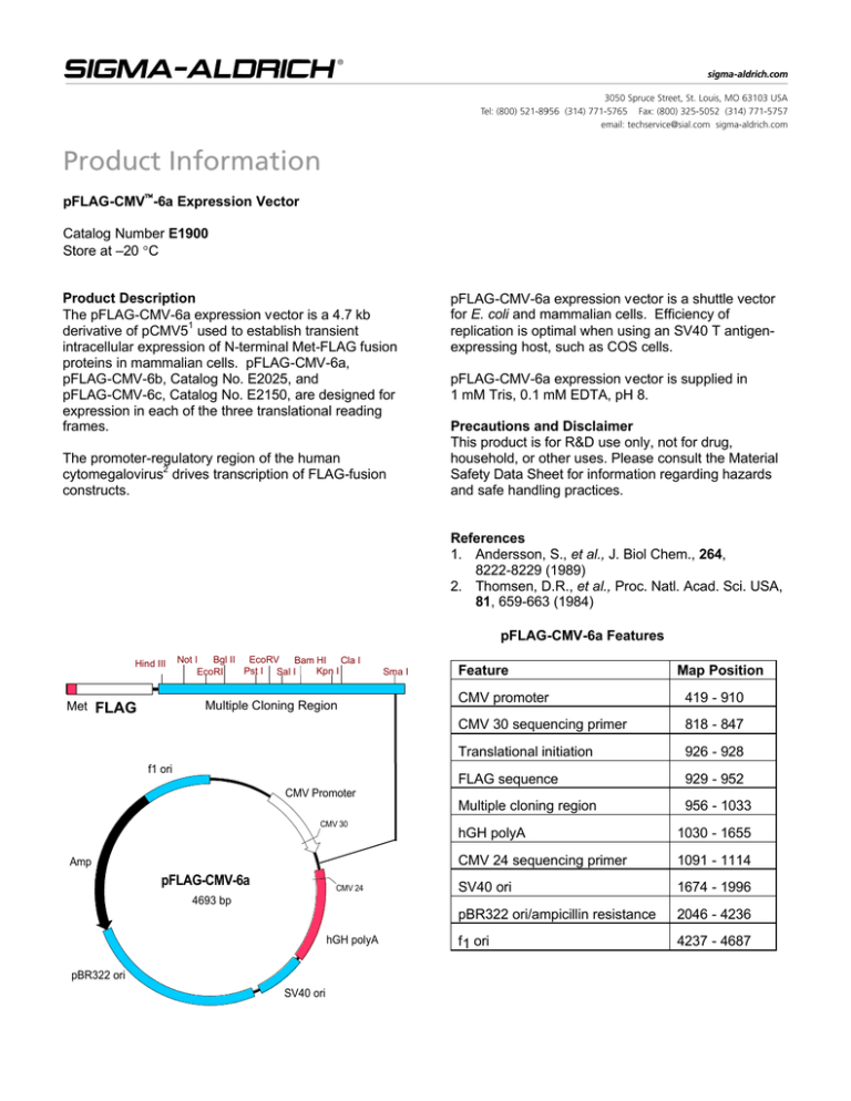 pFLAG-CMV-6a Expression Vector Information