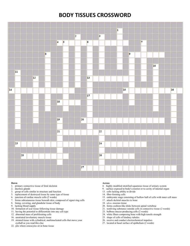 Body Tissues Crossword Puzzle: Anatomy & Histology Review