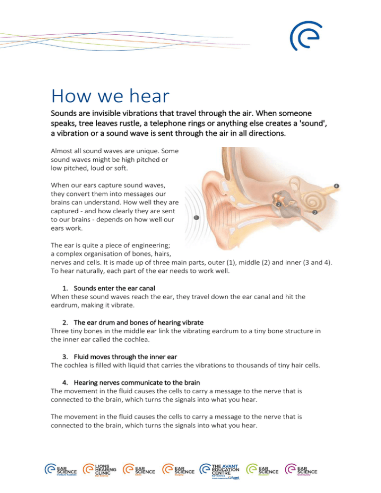 How We Hear: The Science of Sound and the Ear