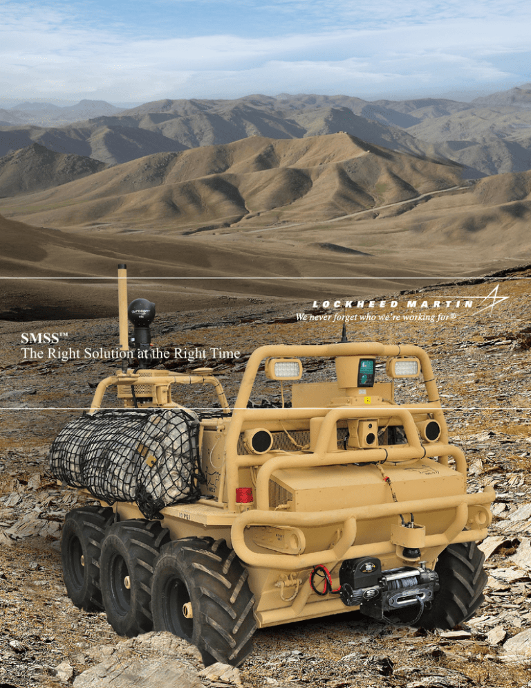 SMSS™ The Right Solution at the Right Time