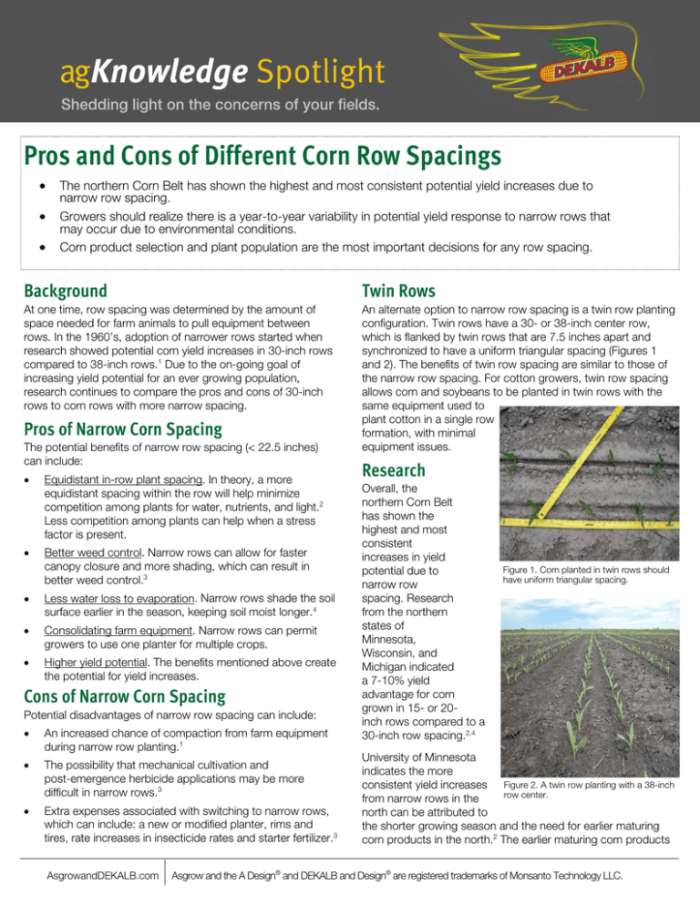 Corn Row Spacing: Pros, Cons & Yield Optimization
