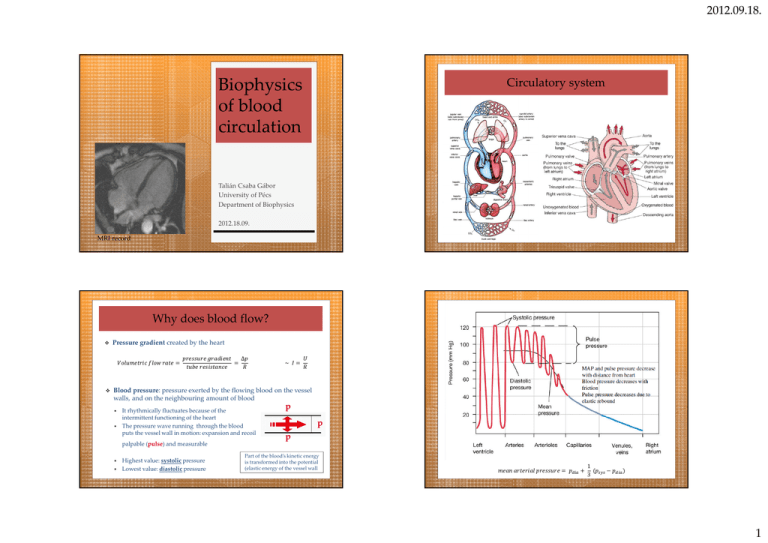 Biophysics of blood circulation
