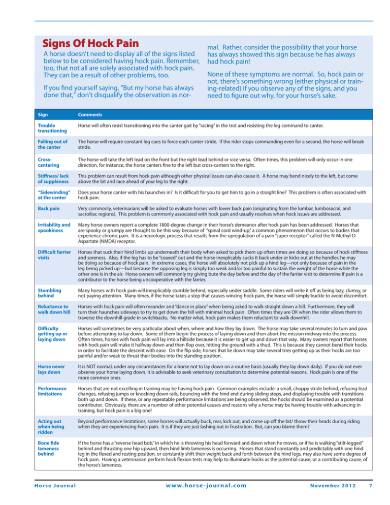 Hock Pain Signs in Horses: Identification & Management