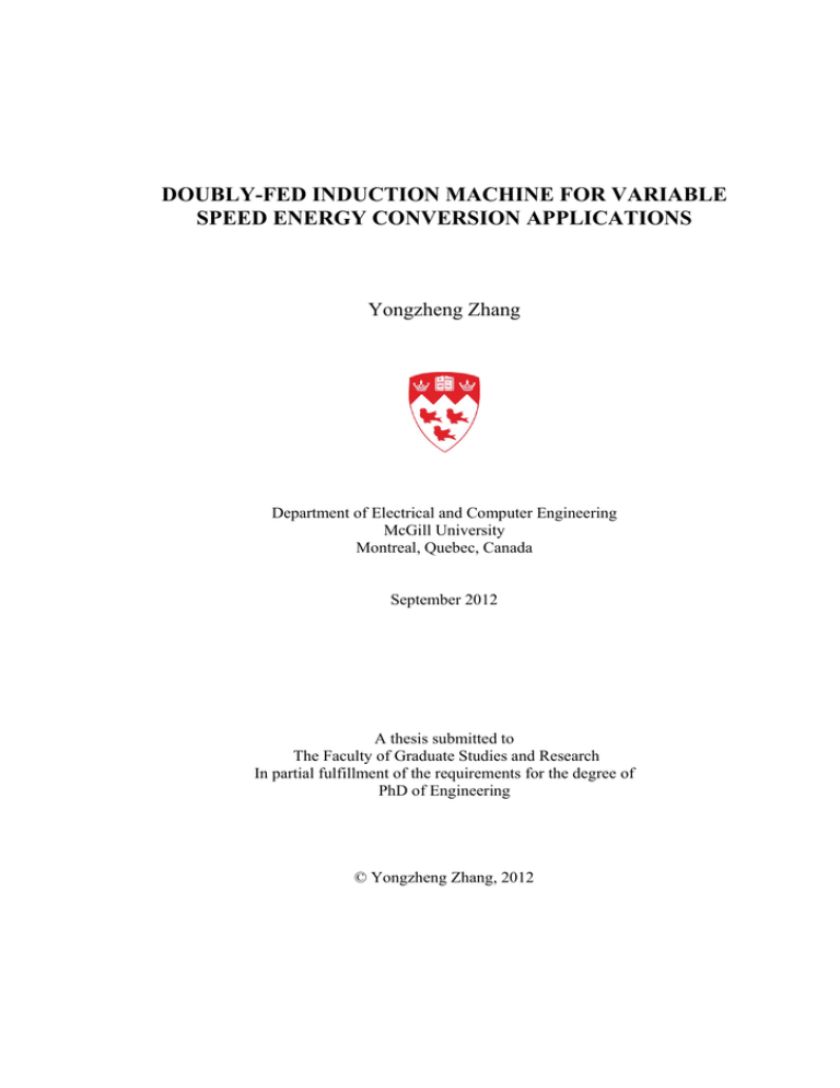 doubly-fed induction machine for variable