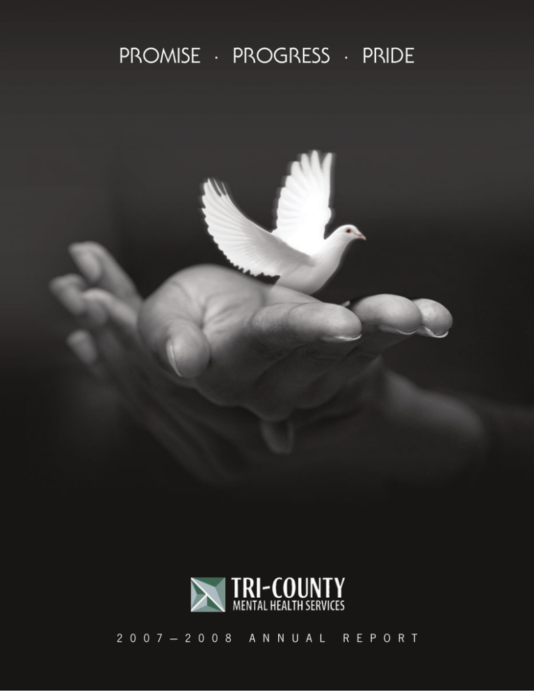 PROMISE · PROGRESS · PRIDE - Tri