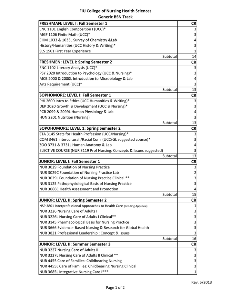 FIU Nursing BSN Curriculum: Course Requirements & Schedule
