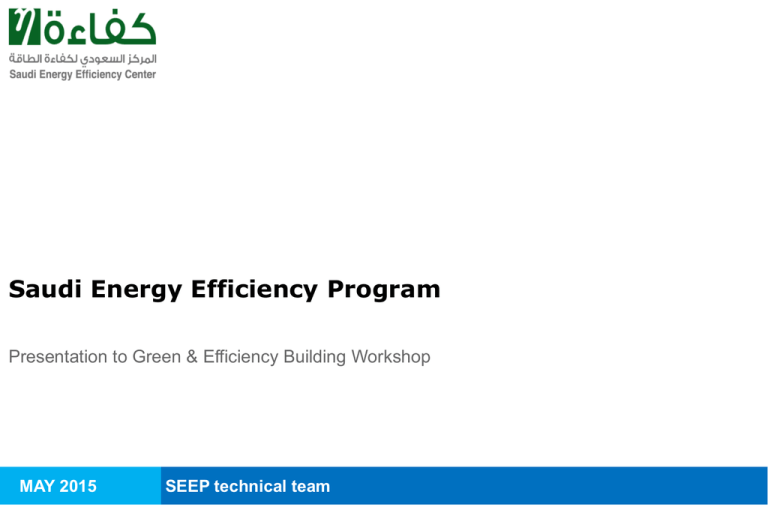 Saudi Energy Efficiency Program