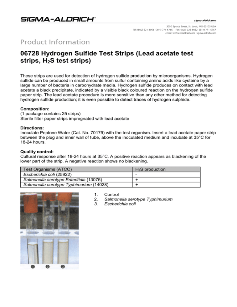 Hydrogen Sulfide Test Strips: Product Information