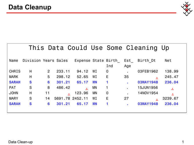 Data Cleanup Systems Seminar Consultants