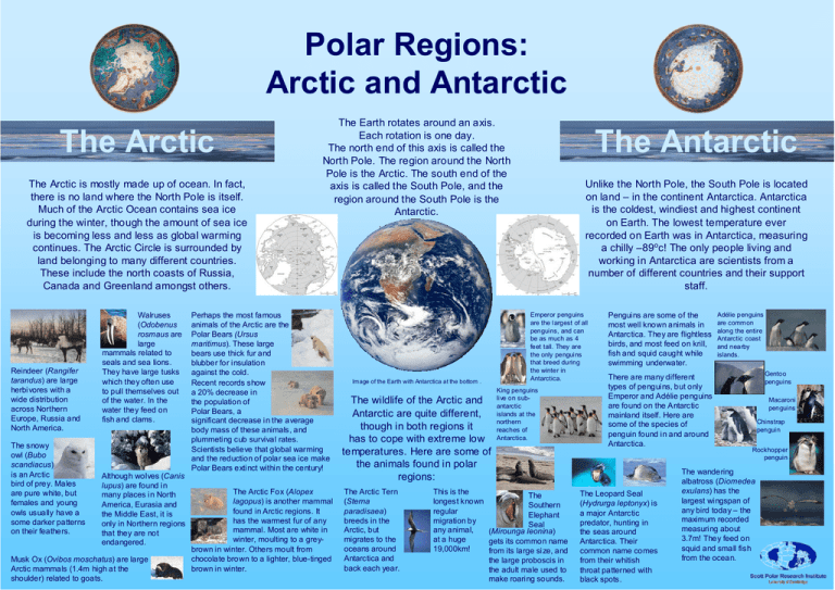 Arctic and Antarctic: Polar Regions Overview