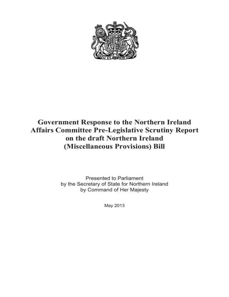 Government Response To The Northern Ireland Affairs