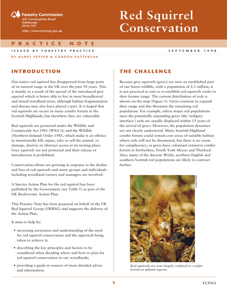Red Squirrel Conservation