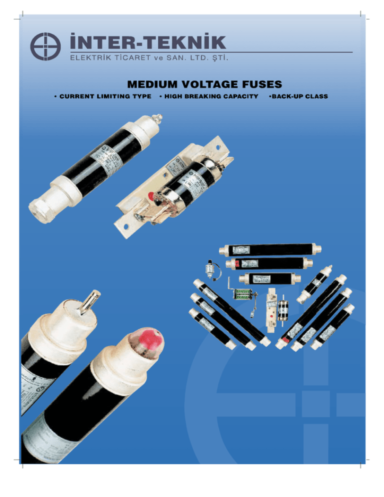 INTER-TEKNIK Medium Voltage Fuses Datasheet