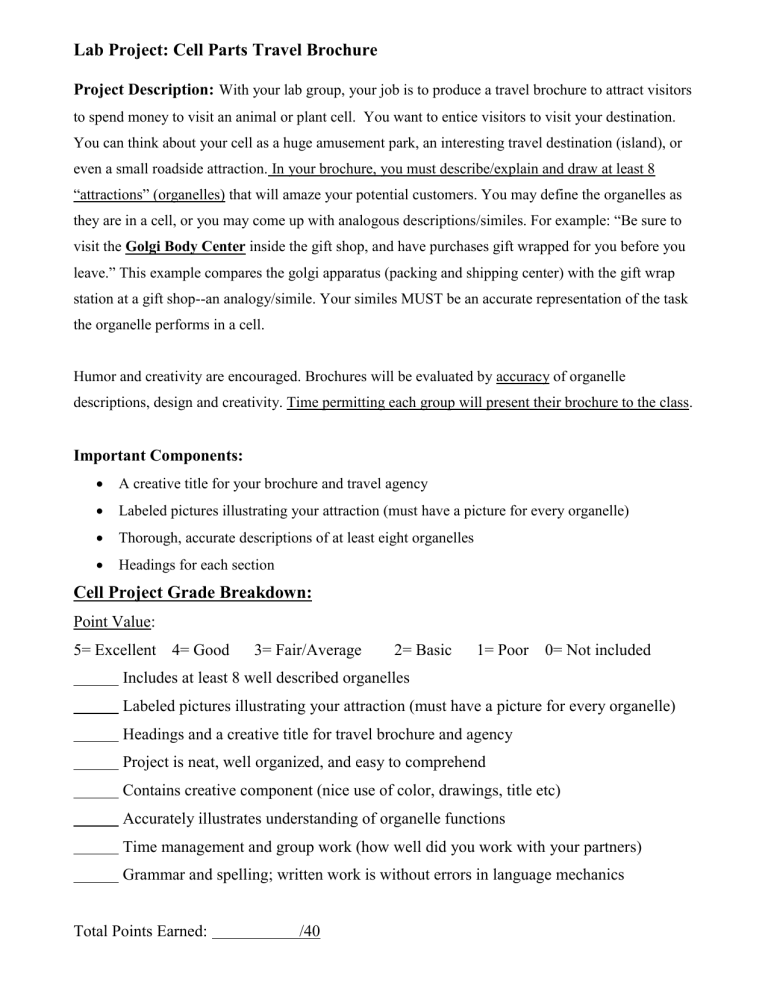 H.S. BIOLOGY Cell Organelle Travel Brochure project w/rubric