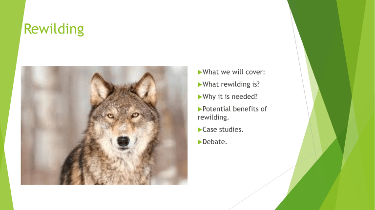 Rewilding