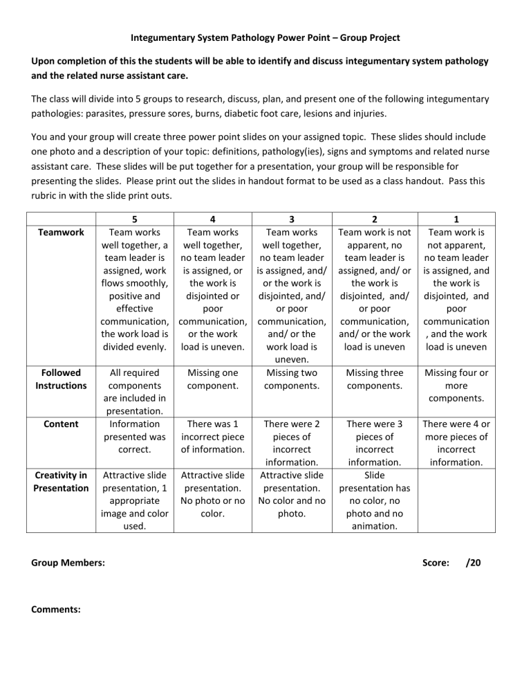 Integumentary System Pathology Project Rubric