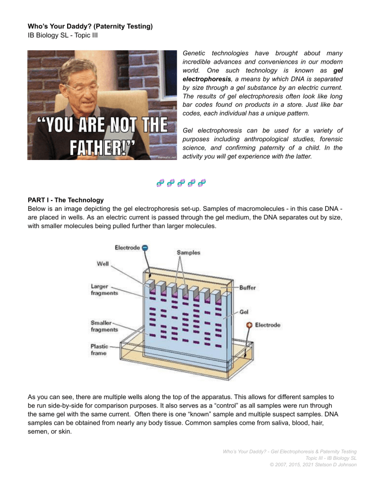 Gel Electrophoresis & Paternity Testing Worksheet