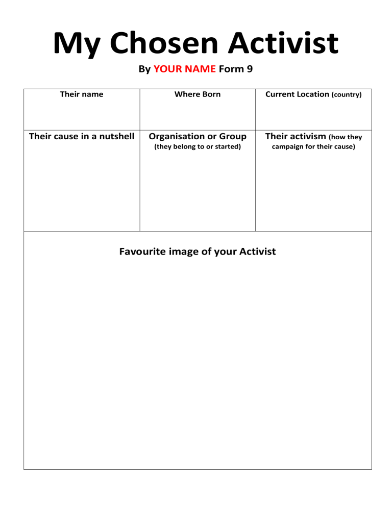 My Chosen Activist Worksheet