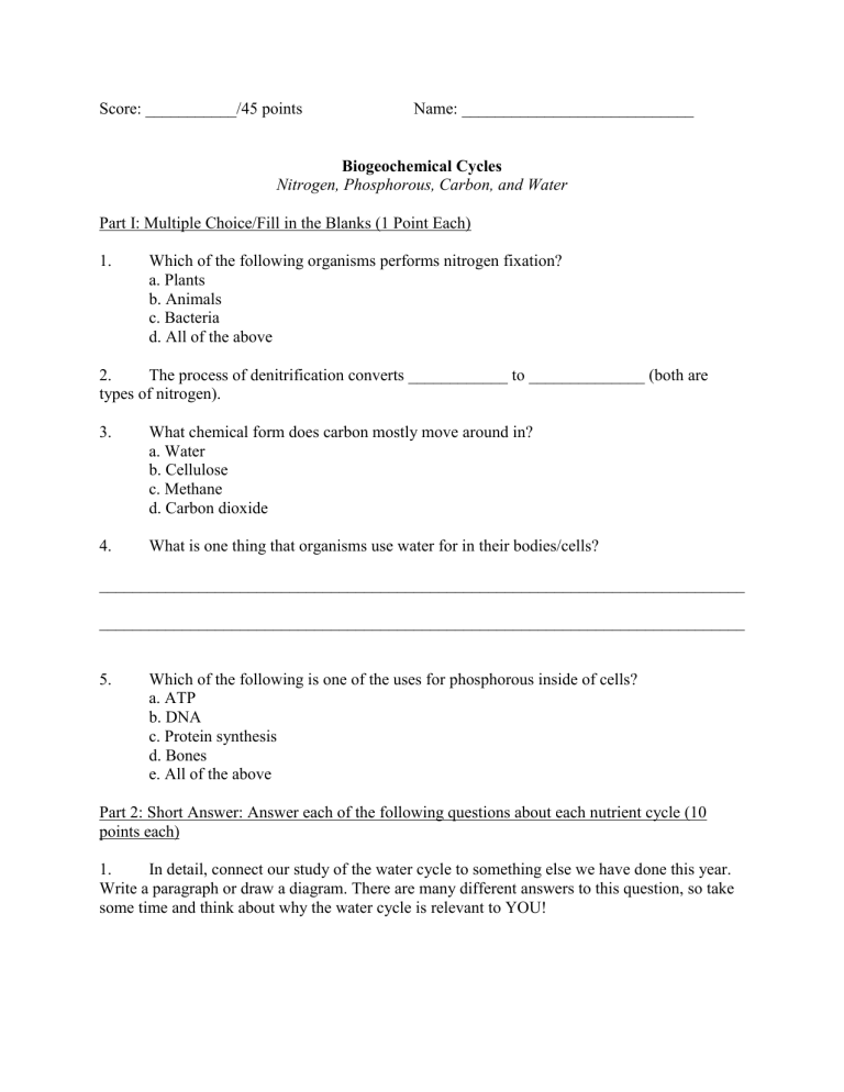 Biogeochemical Cycles Quiz: Nitrogen, Phosphorus, Carbon, Water