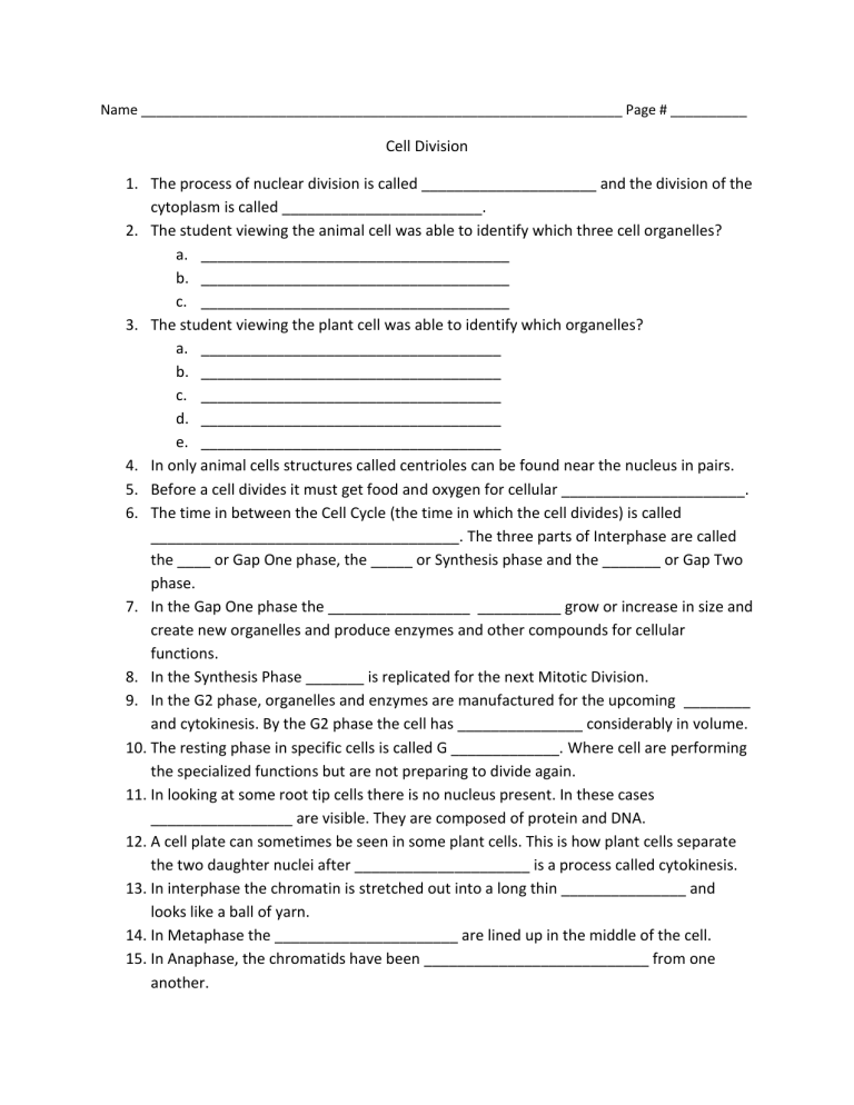 Cell Division Worksheet: Mitosis & Cytokinesis