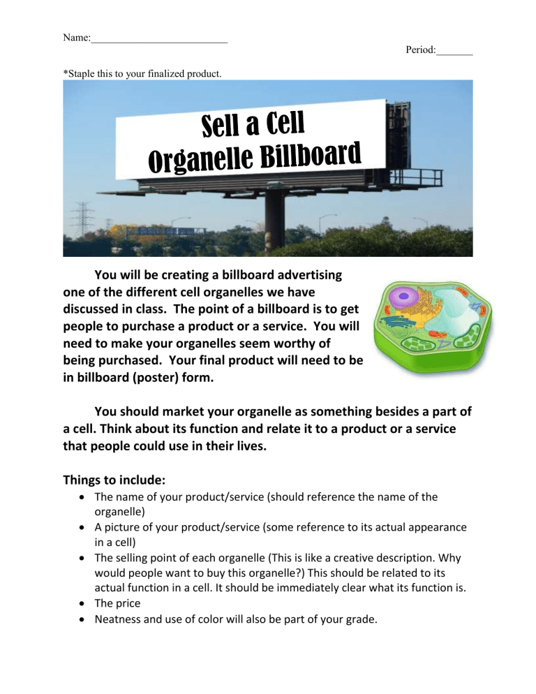 Cell Organelle Billboard Project Worksheet